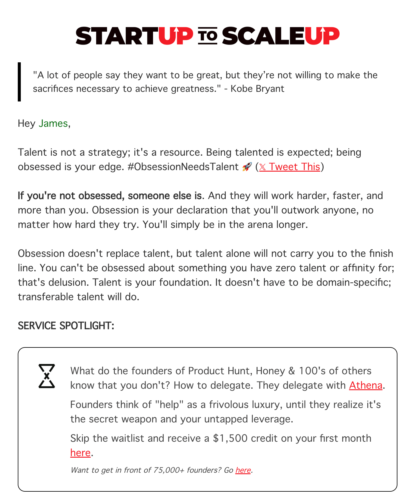 StartUp To ScaleUp Newsletter | Passionfroot