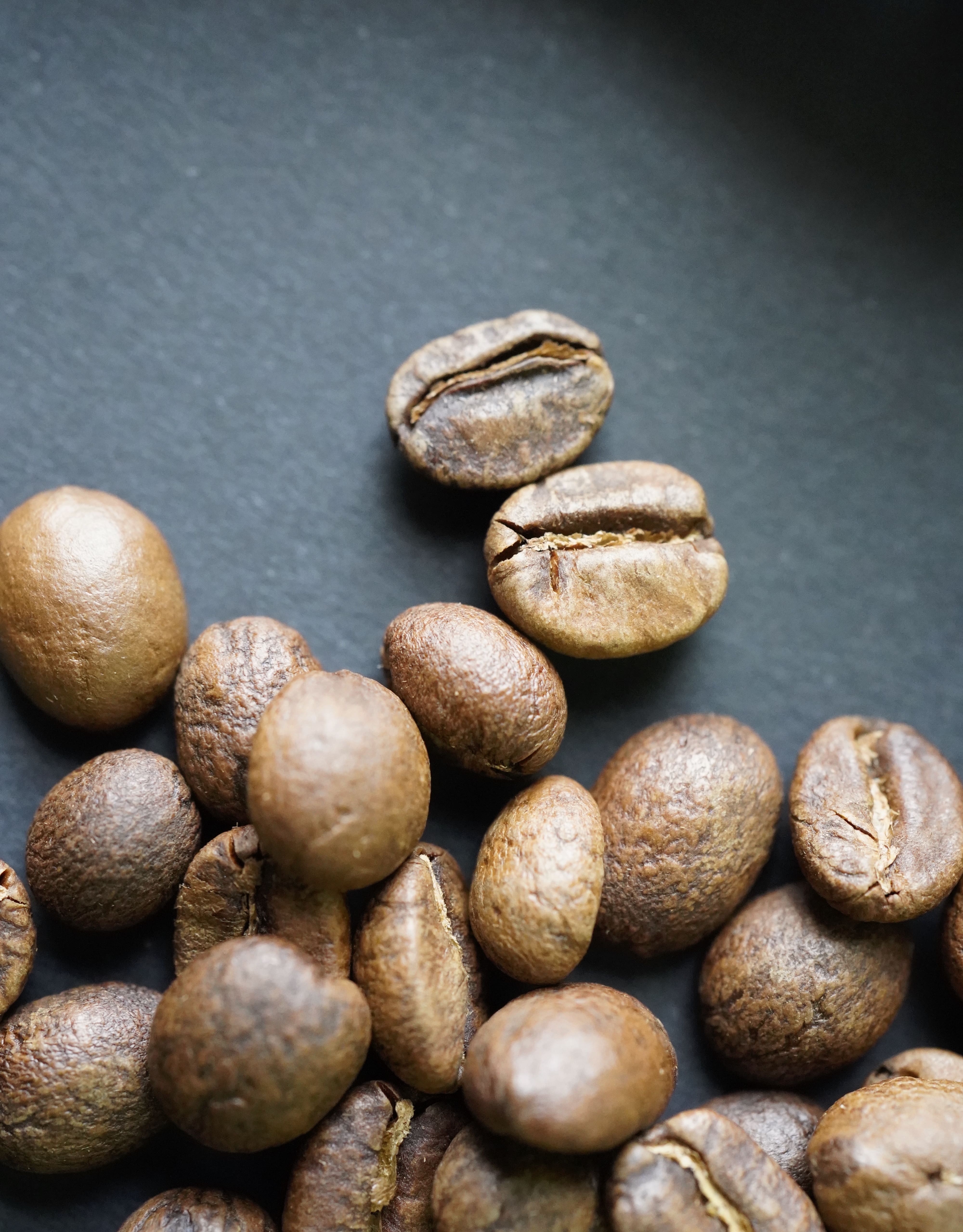 Basic Barista | Passionfroot