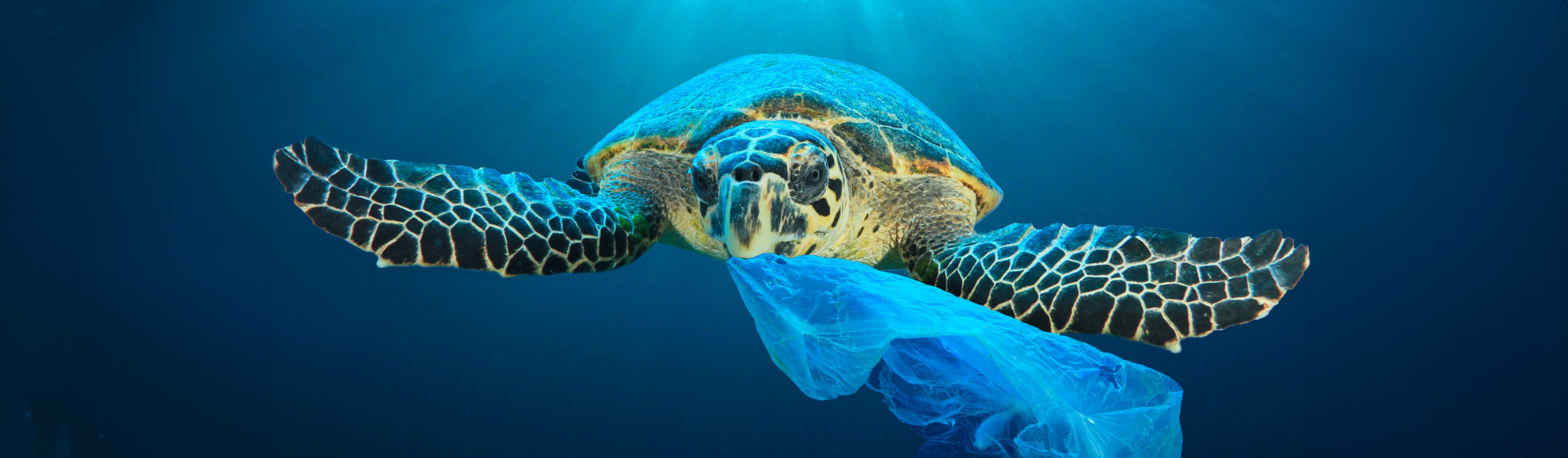 Haaziq Kazi nadahnuo kolege u banci Intesa Sanpaolo | PBZ