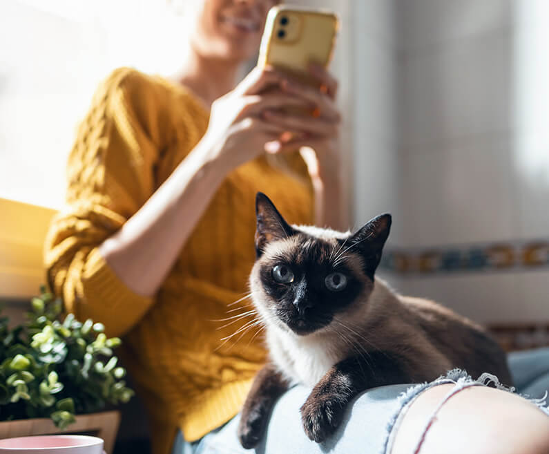 PBZ Indeks plus studentski paket - Studenti | PBZ