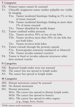 What Are The Stages Of Prostate Cancer?
