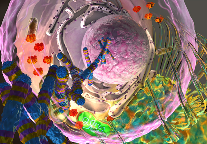 PCF-Curing Together | PCF | Prostate Cancer Foundation | Prostate ...