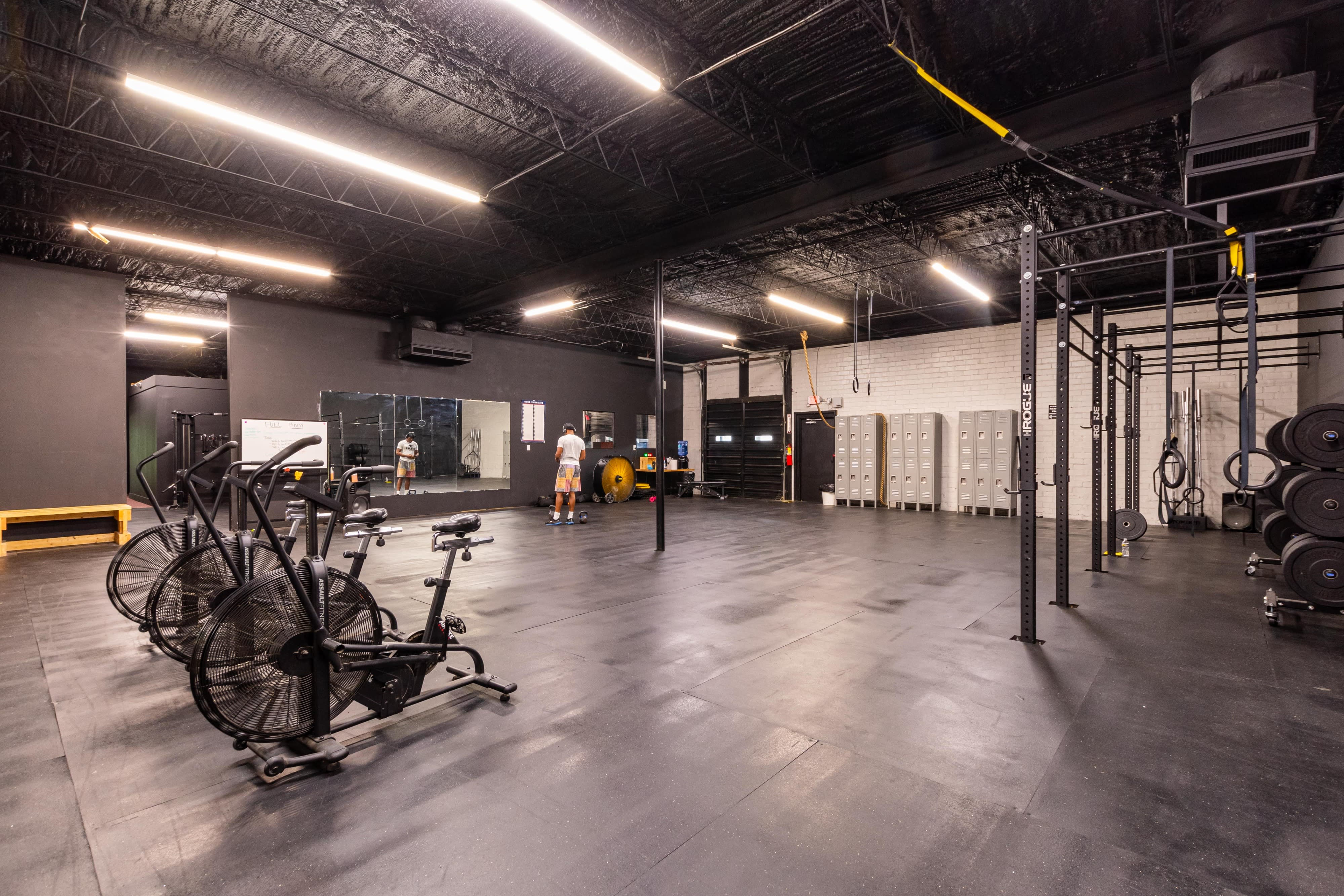 GAMMA FITNESS FTS new 306 Functional Trainer