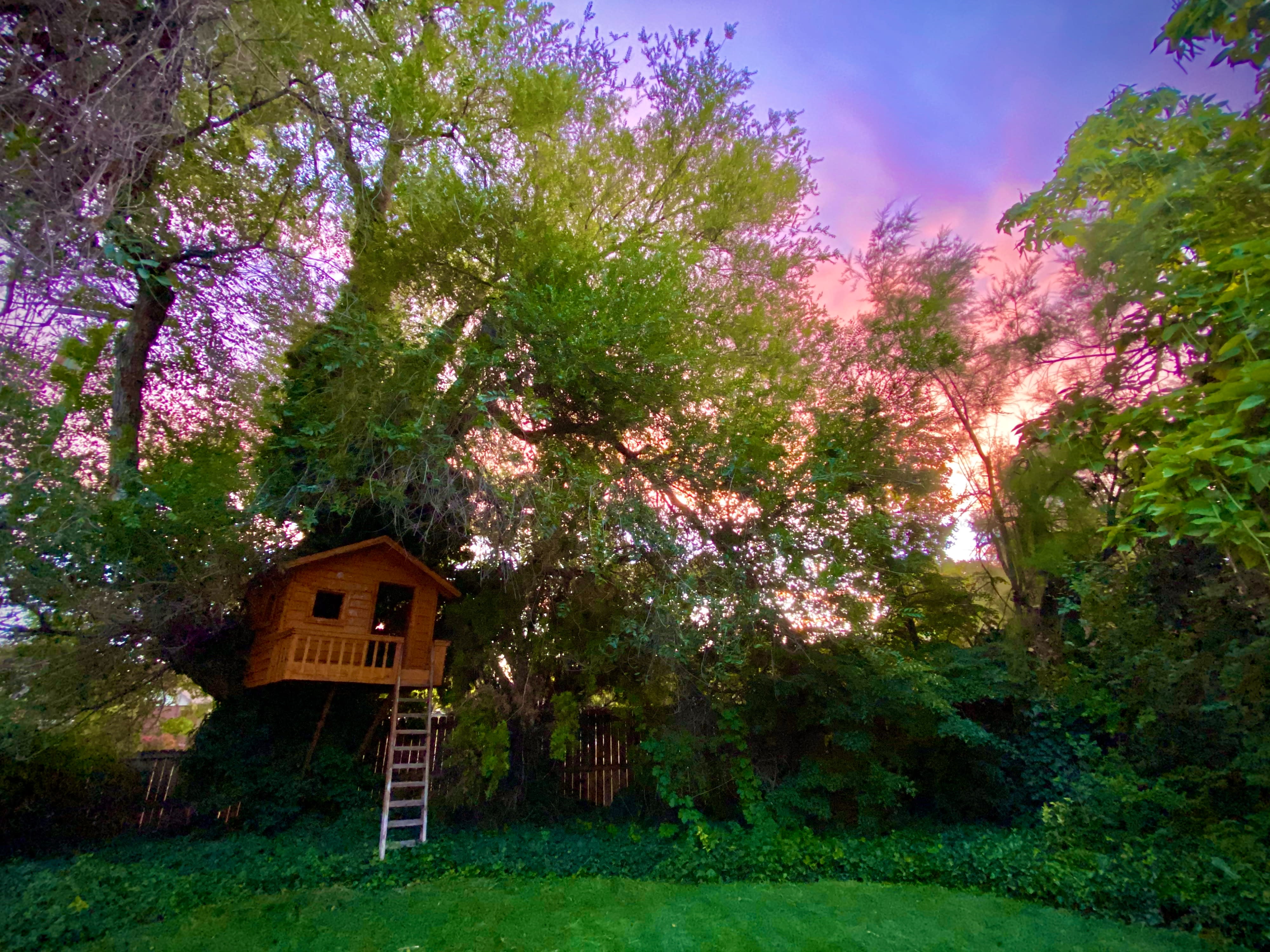 Small Treehouse
