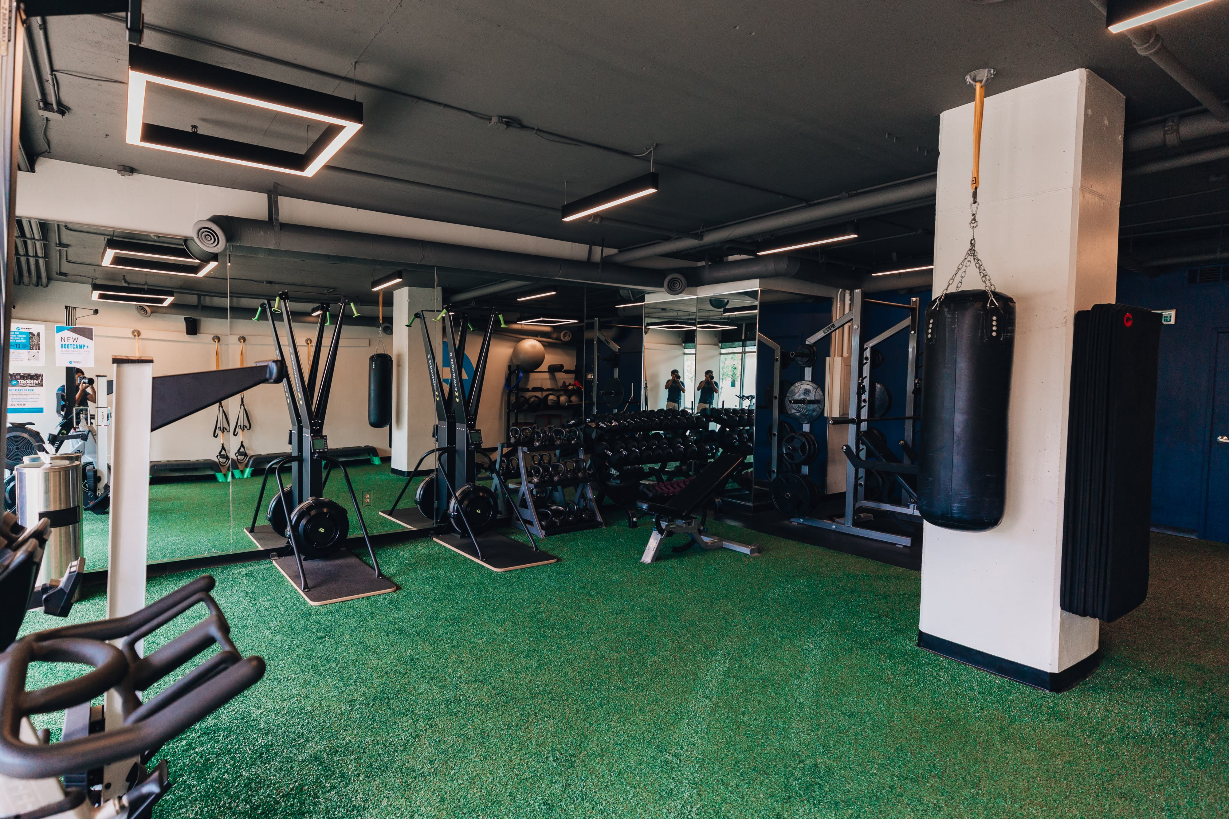 Gym Color Scheme | ppgbbe.intranet.biologia.ufrj.br