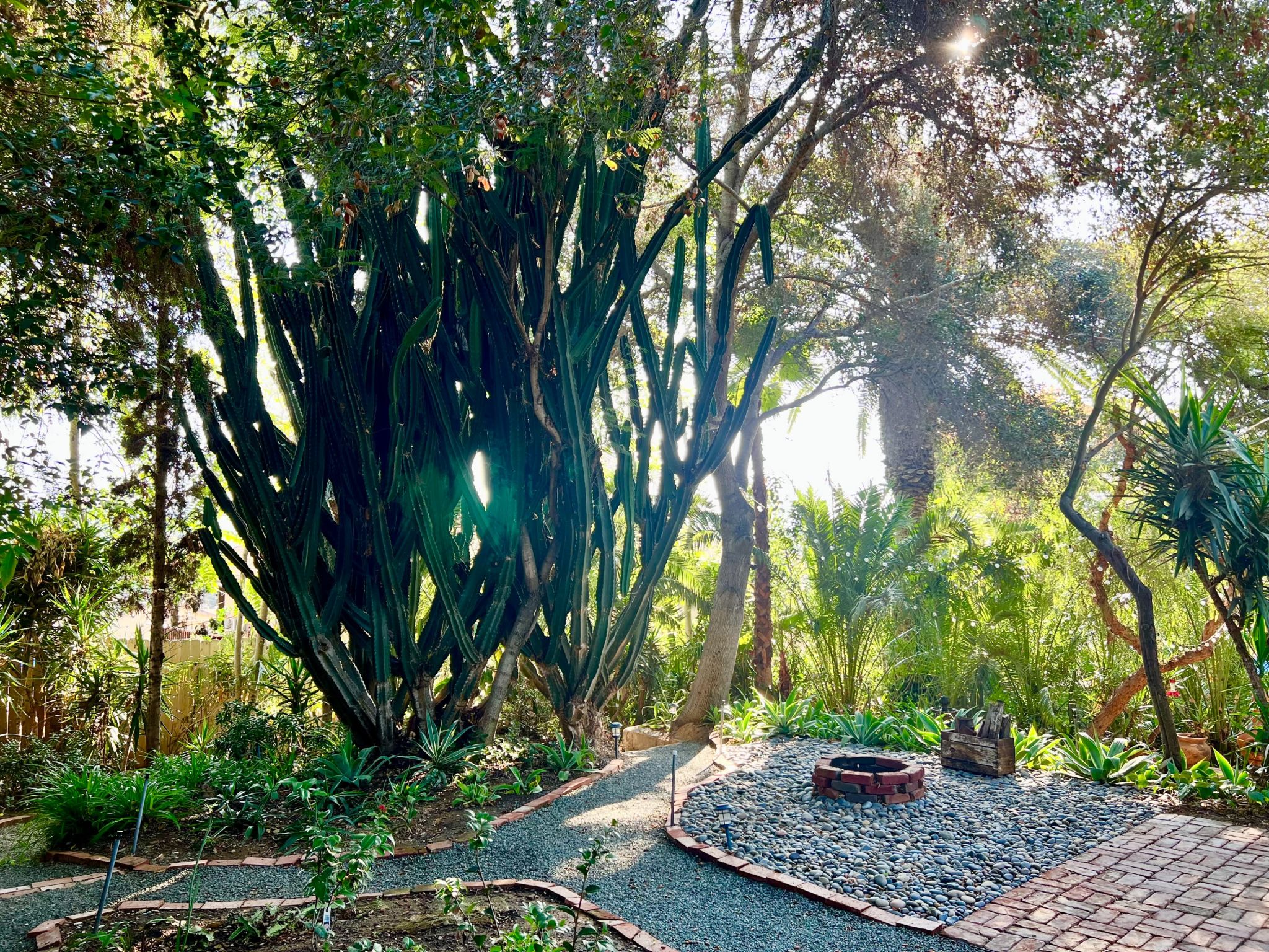 Mounts Botanical Garden | ppgbbe.intranet.biologia.ufrj.br