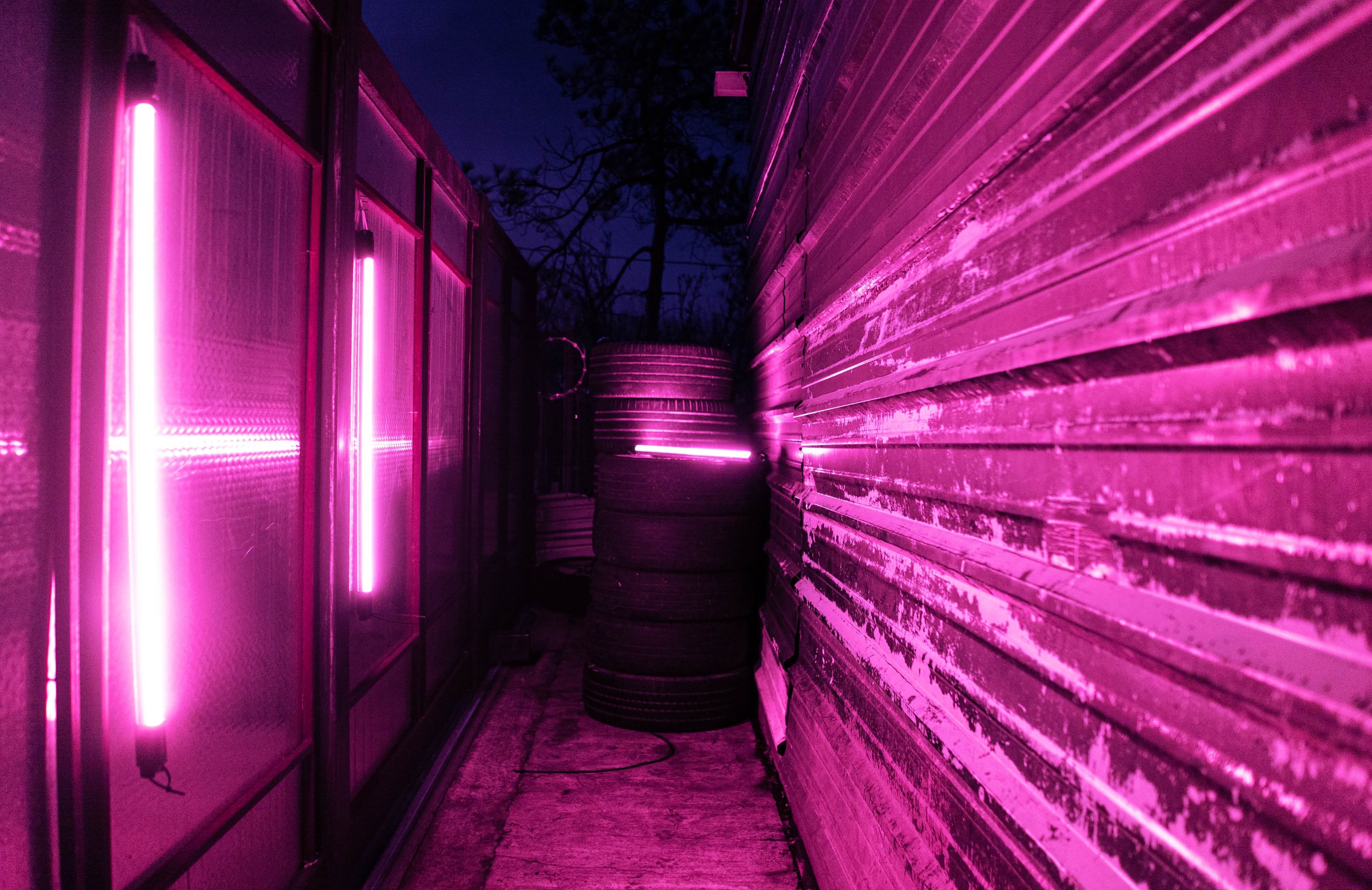 Hot Pink Header Tumblr