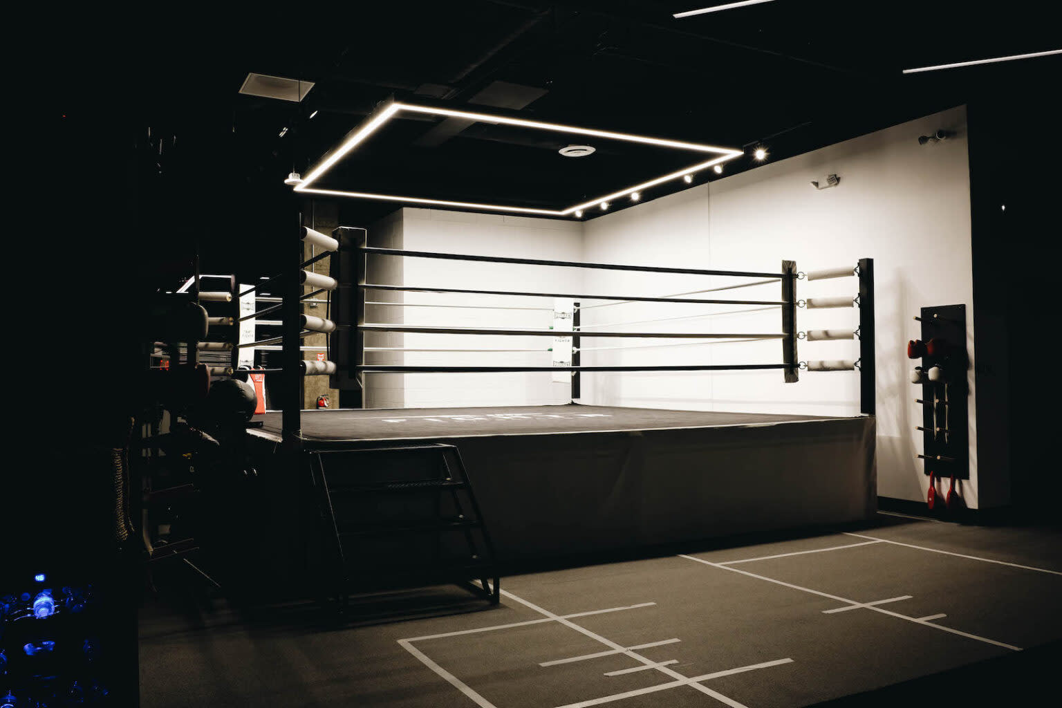Boxing Ring Zoom Background These Gym-Style Zoom Backgrounds Will Make ...
