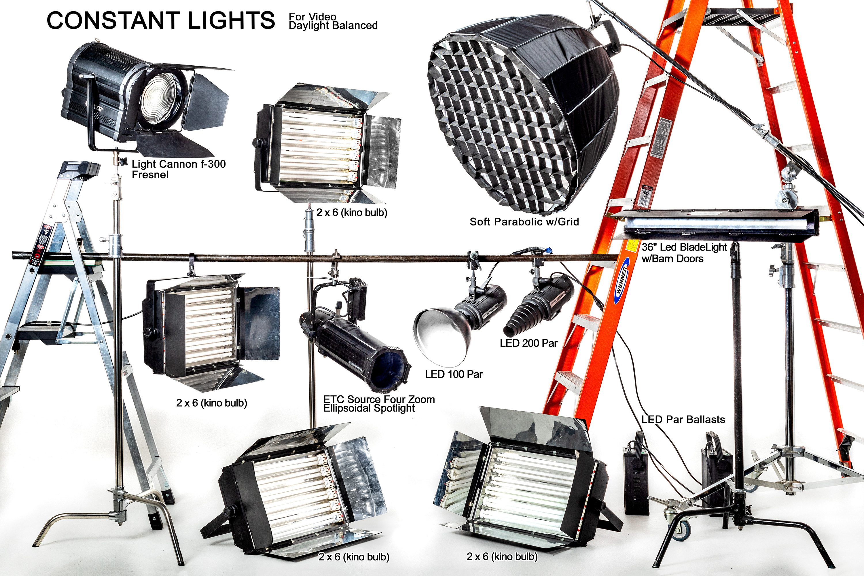 2×4 Parabolic Light Lenses | Shelly Lighting