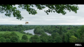 The evolution of the bee animation