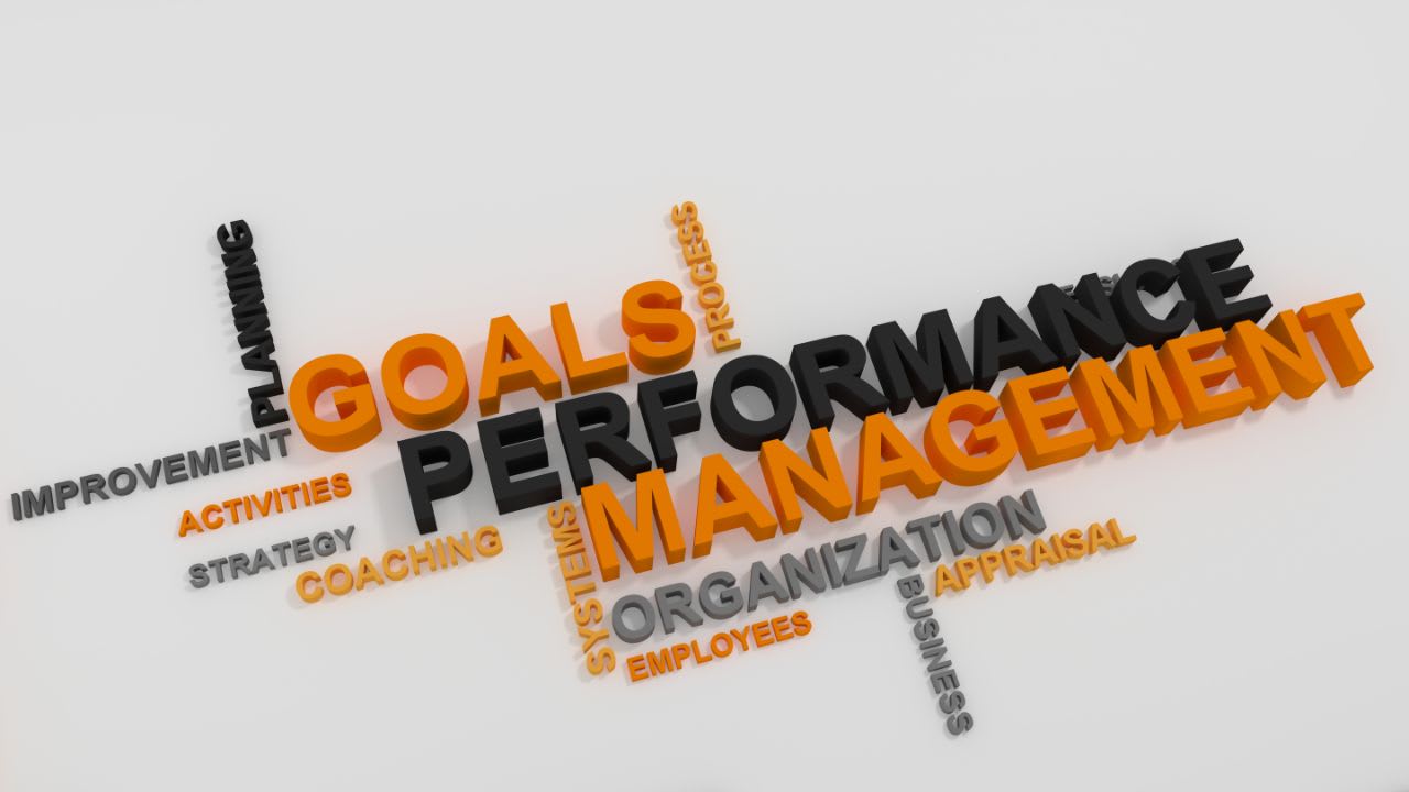Article: Optimising performance: Key practices for organisational ...