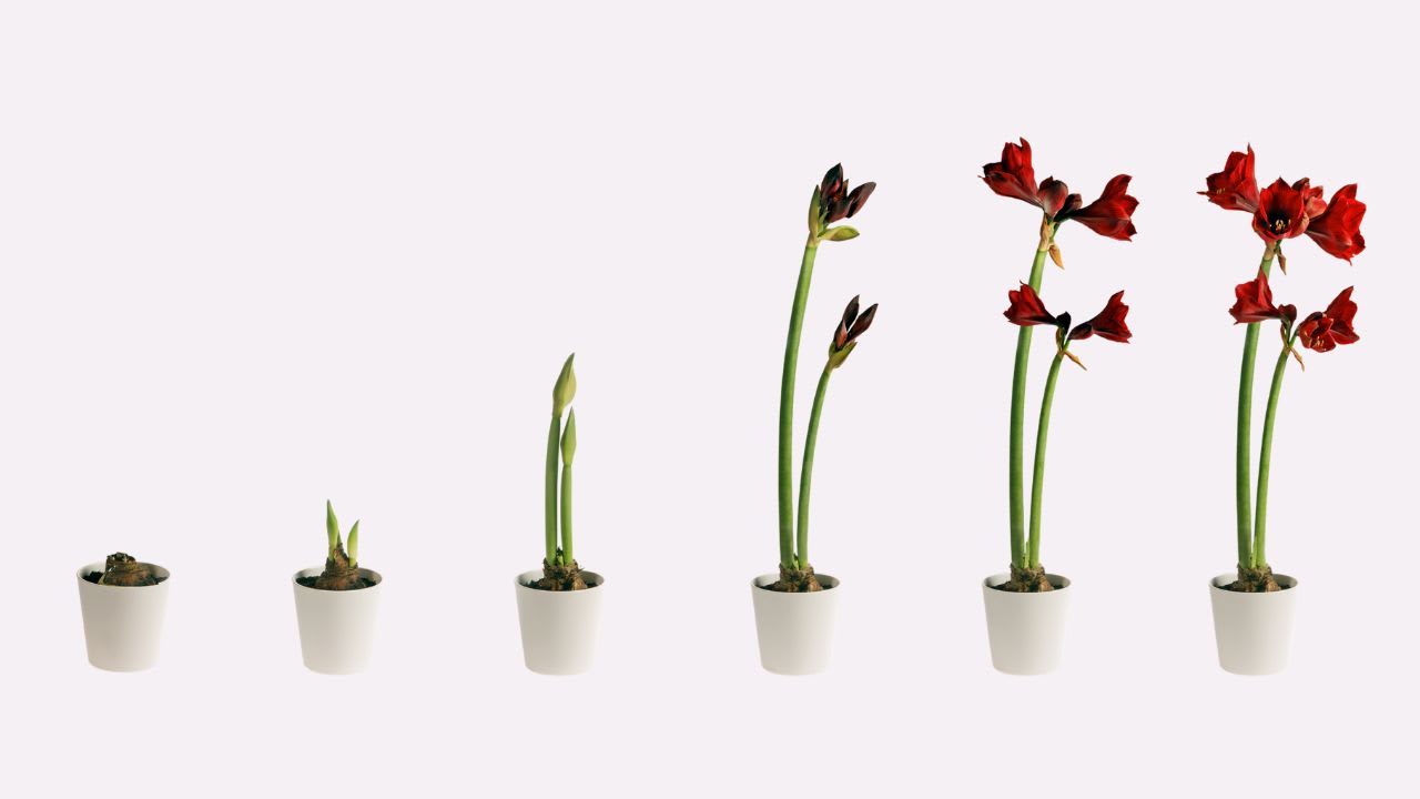 The evolution of workplace culture: Lessons and insights - Performance ...