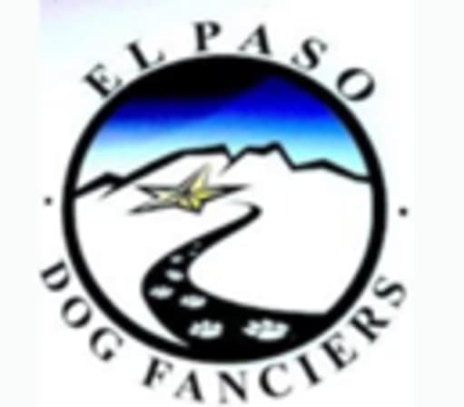 PerfDog: Easy dog activities for everybody!