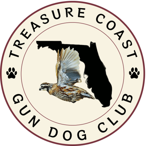 PerfDog: Easy dog activities for everybody!