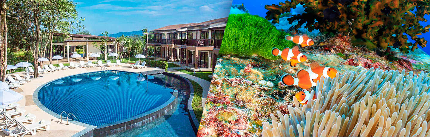 The Leaf on The Sands by Katathani - SHA Extra Plus with a day trip to ...