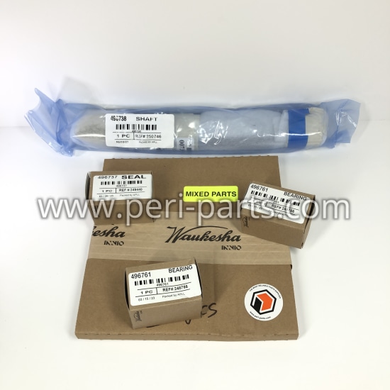 G-960-256 WAUKESHA ORIGINAL W/P REPAIR KIT - PERIPARTS
