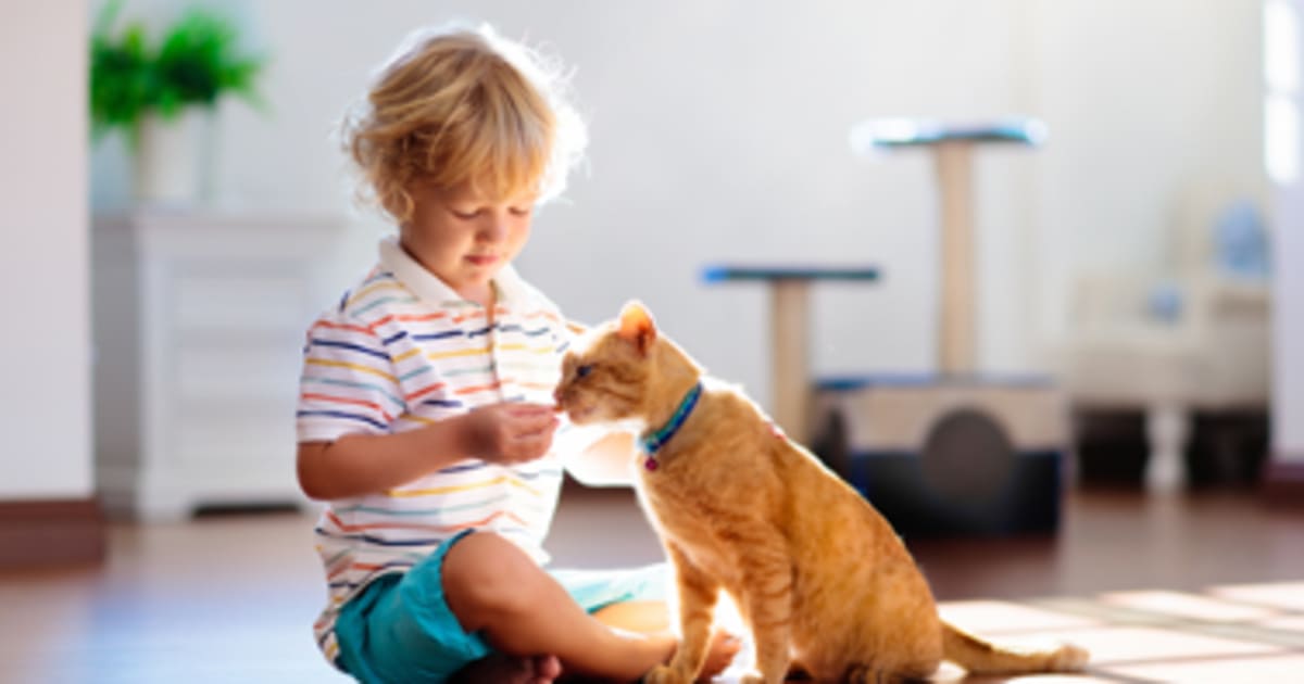 5 Pet-Friendly Home Tips: From Flooring to Plants | News | Britton Homes