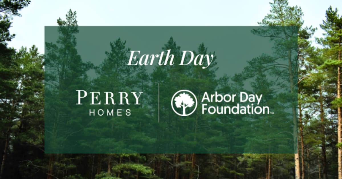 Perry Homes Foundation Reforestation Effort | Blog | Perry Homes