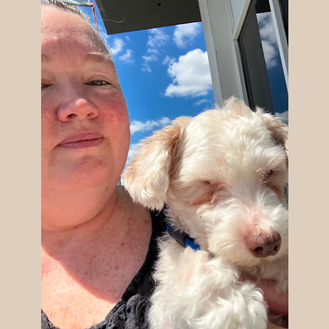 Alex - Small Male Poodle Mix Dog in QLD - PetRescue