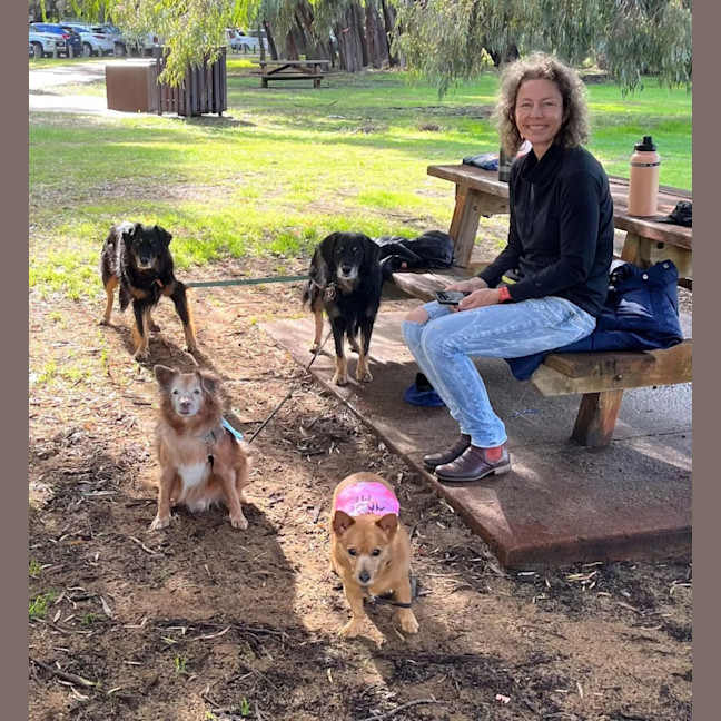 Lucius and Libo - Small Female Jack Russell Terrier Dog in WA - PetRescue