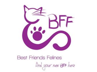 Best Friends Felines - PetRescue