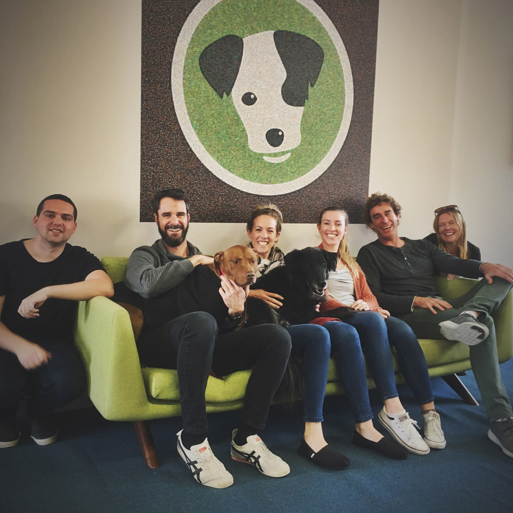 PetRescue supports rescue groups to save more lives - PetRescue