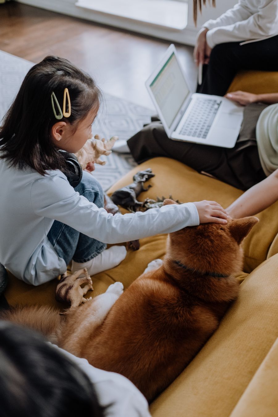 Dog & Kid Safety 101 - PetRescue