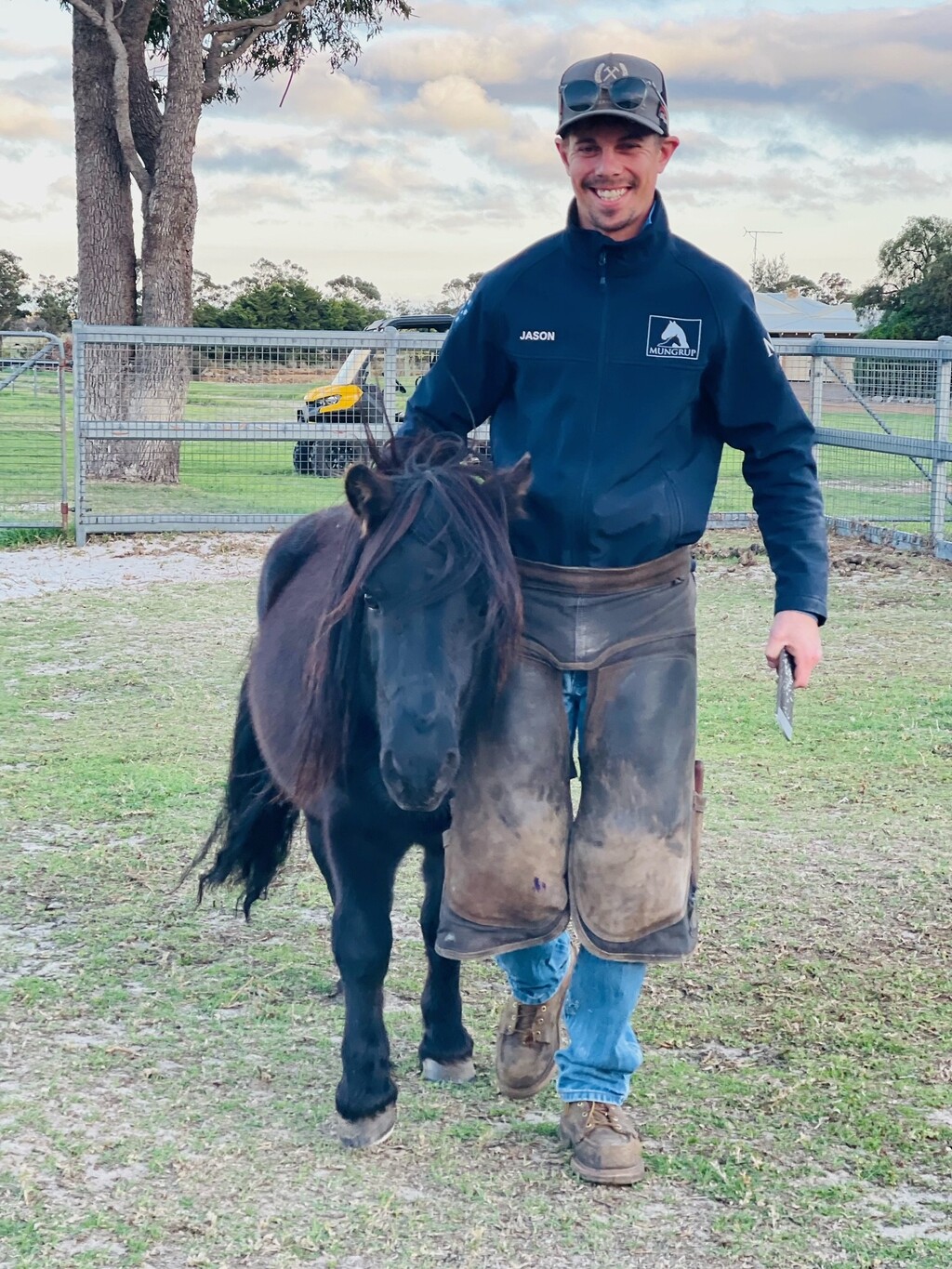 Sebastian - Male Shetland Pony Mix Horse in WA - PetRescue
