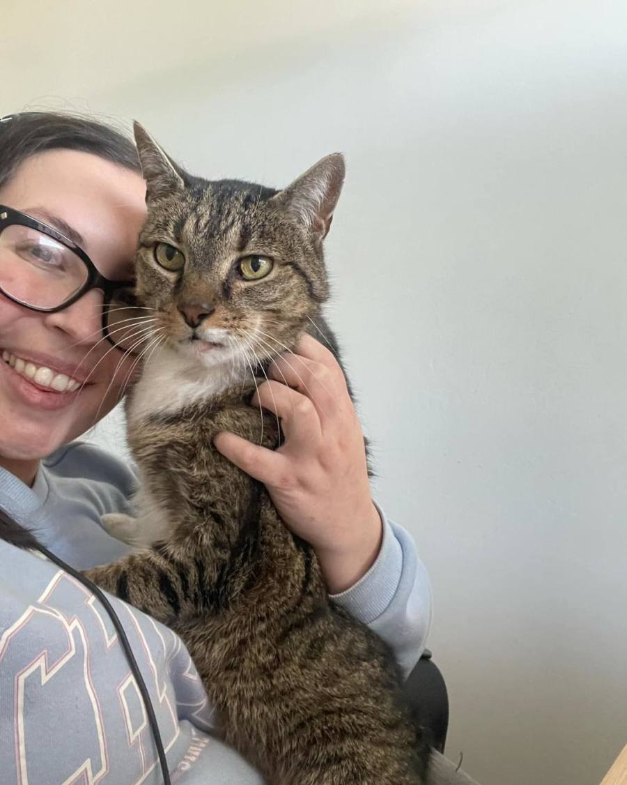 Ginger Ninja Animal Rescue - PetRescue