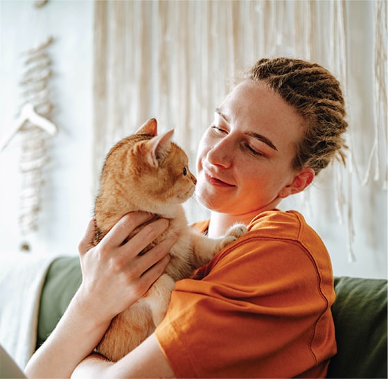 Search Rescue Cats and Kittens - PetRescue