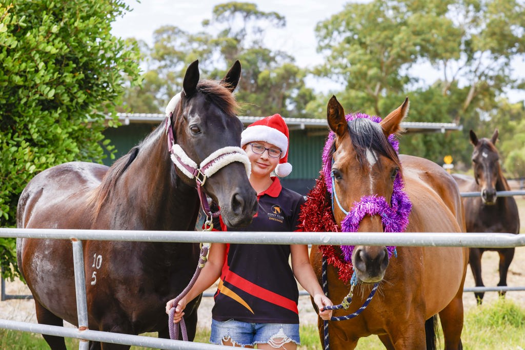 Daphne - Female Thoroughbred Mix Horse in WA - PetRescue