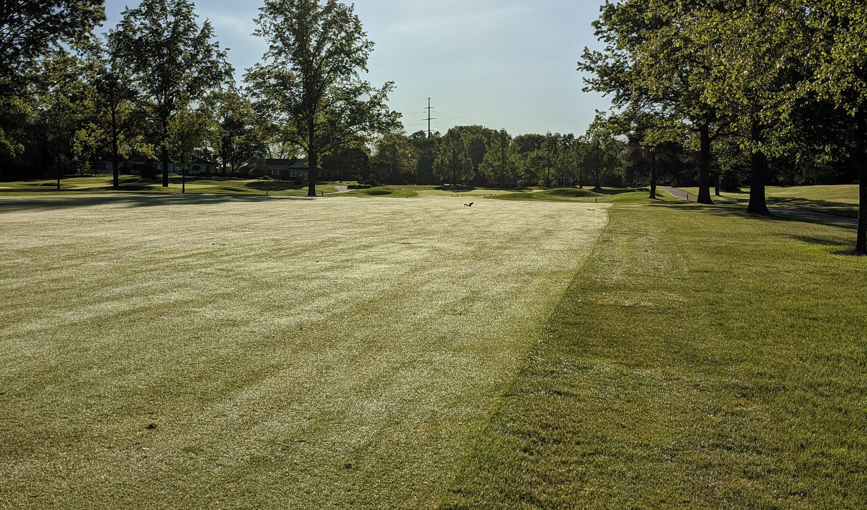 Adam L Turney | Golf Lessons | Kamas, UT