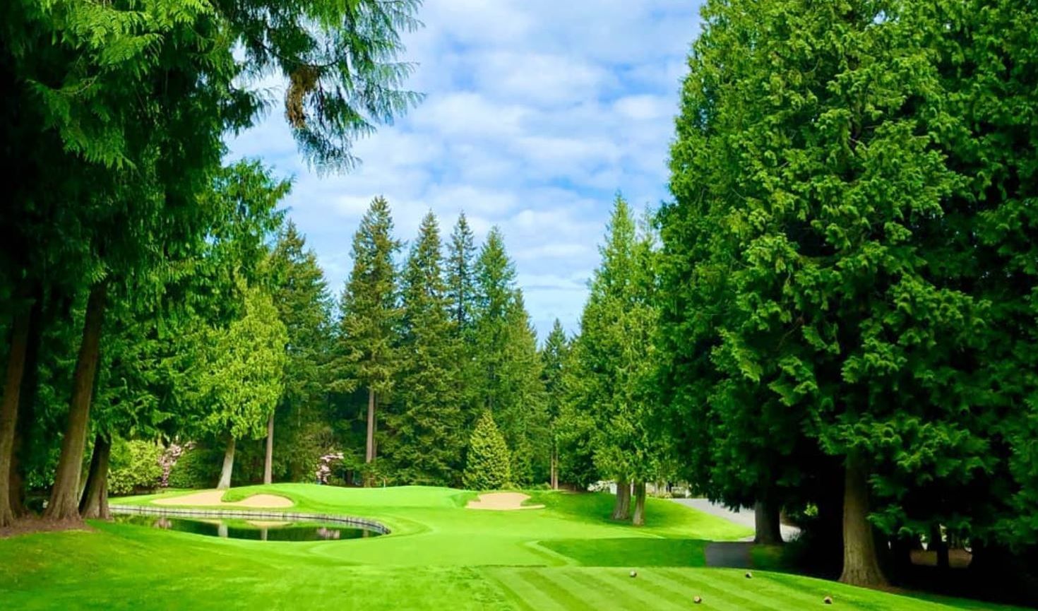Ryan Benzel Golf | Golf Lessons | Sammamish, WA