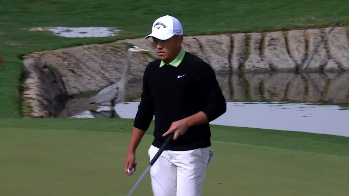 Kevin Yu drains 12-foot birdie putt at WM Phoenix Open