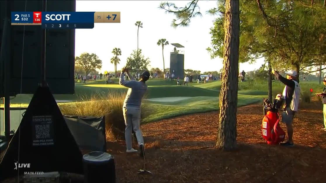 Adam Scott's excellent shot from the pine straw yields birdie at THE ...