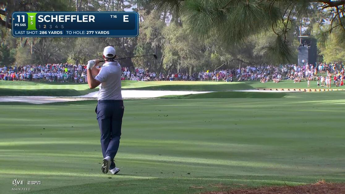 Scottie Scheffler chips in from 80 feet for birdie on No. 11 at THE PLAYERS