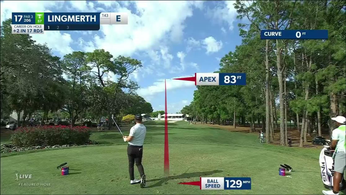 David Lingmerth attacks flagstick to set up birdie at Valspar