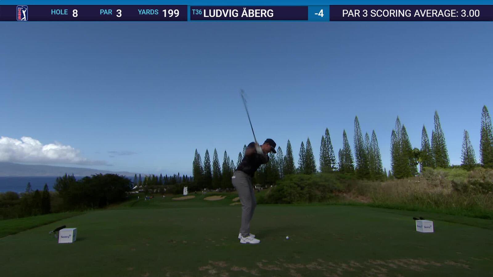 Ludvig Åberg | Round 2 | 8th hole | Shot 1 | 2025 The Sentry