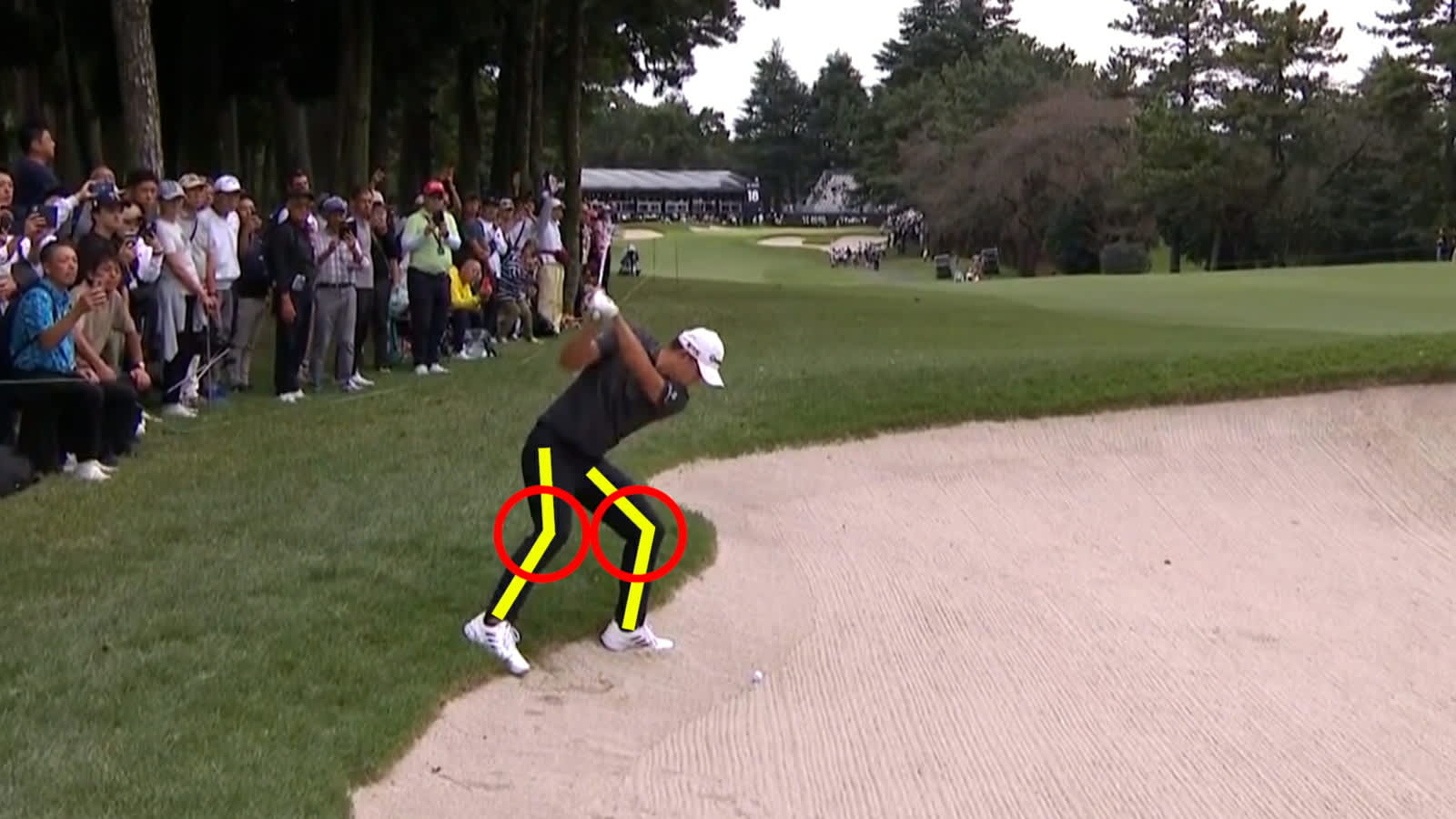 Collin Morikawa’s swing breakdown from ZOZO