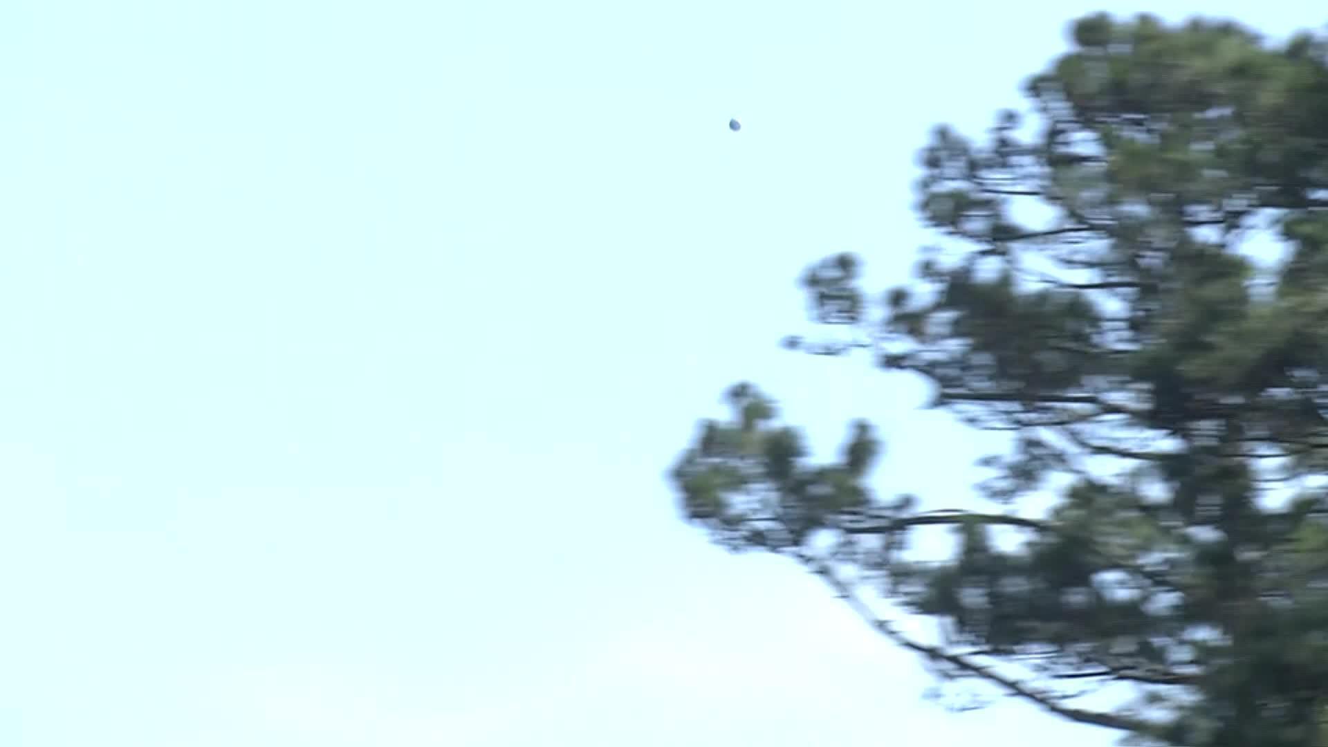 Austin Hitt makes birdie on No. 11 at Club Car Championship