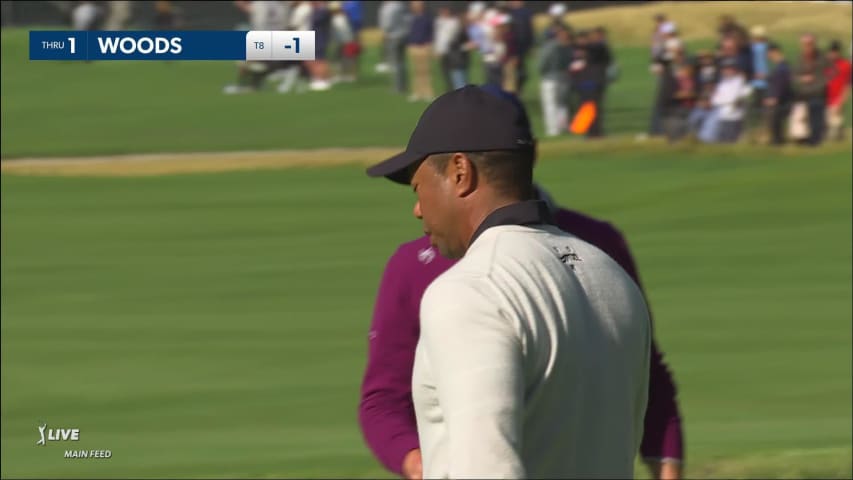 Tiger Woods | 2024 Genesis | Round 1 | 8th hole | Shot 4