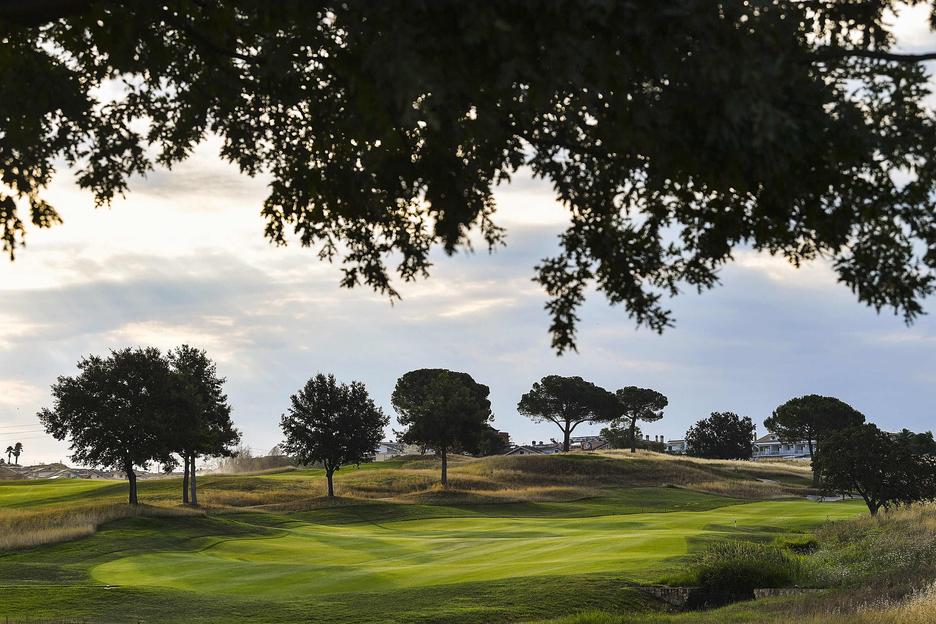 Ryder Cup rarity: Superintendent Lara Arias embraces role as ...