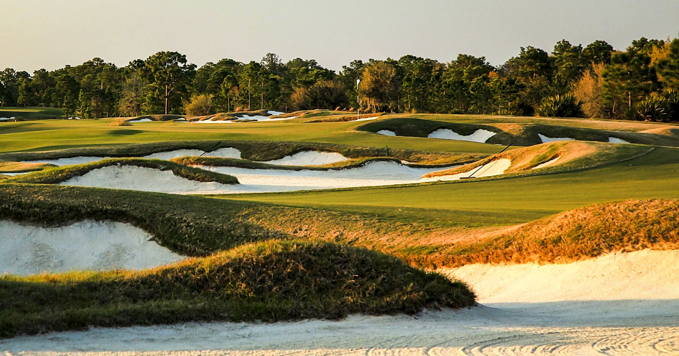 How it works: World Champions Cup - PGA TOUR