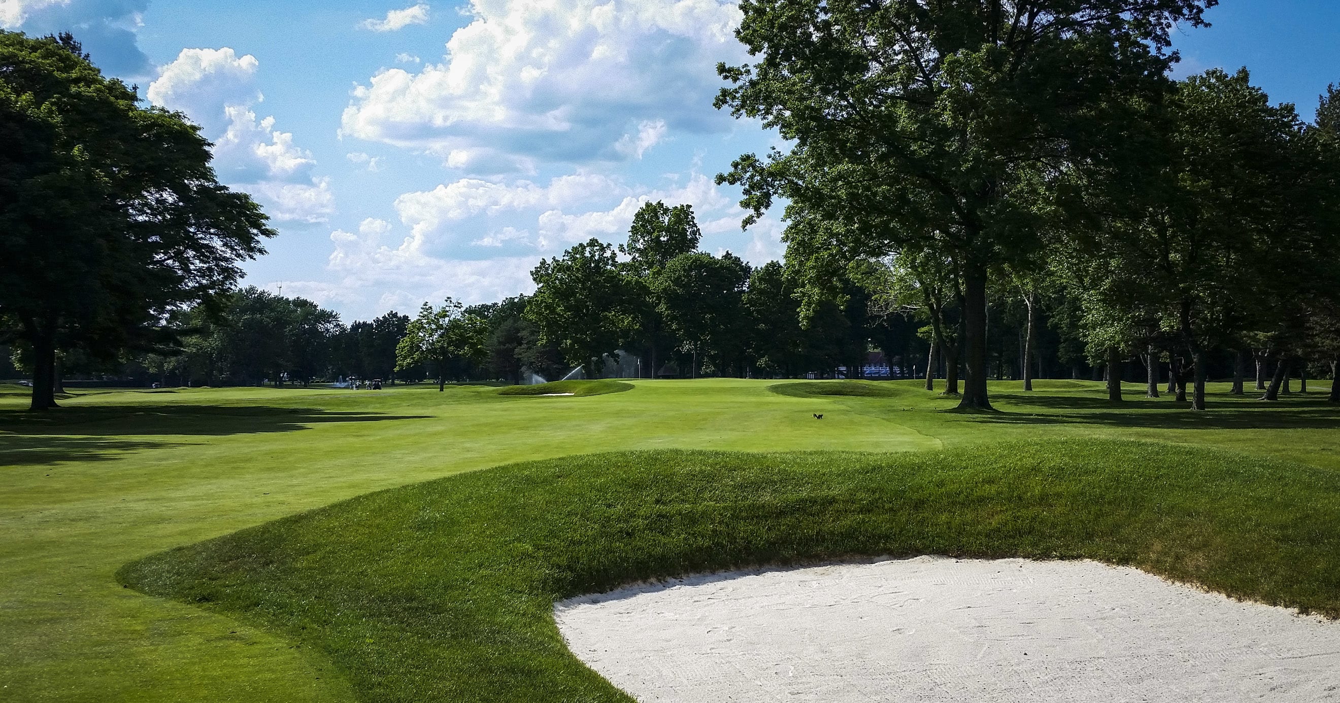 Five things to know: Detroit Golf Club - PGA TOUR