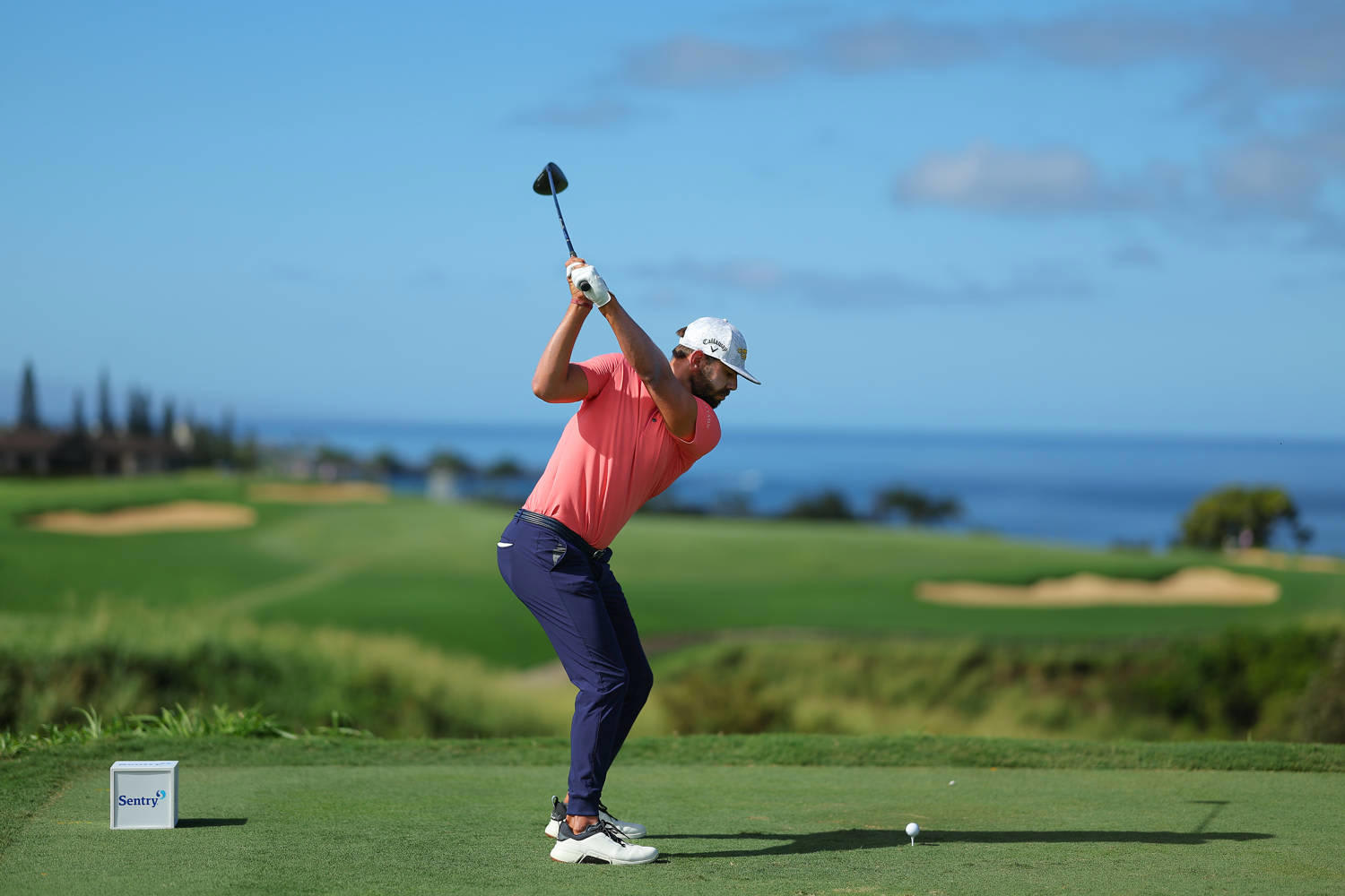 Erik van Rooyen Betting Profile: Sony Open in Hawaii - PGA TOUR