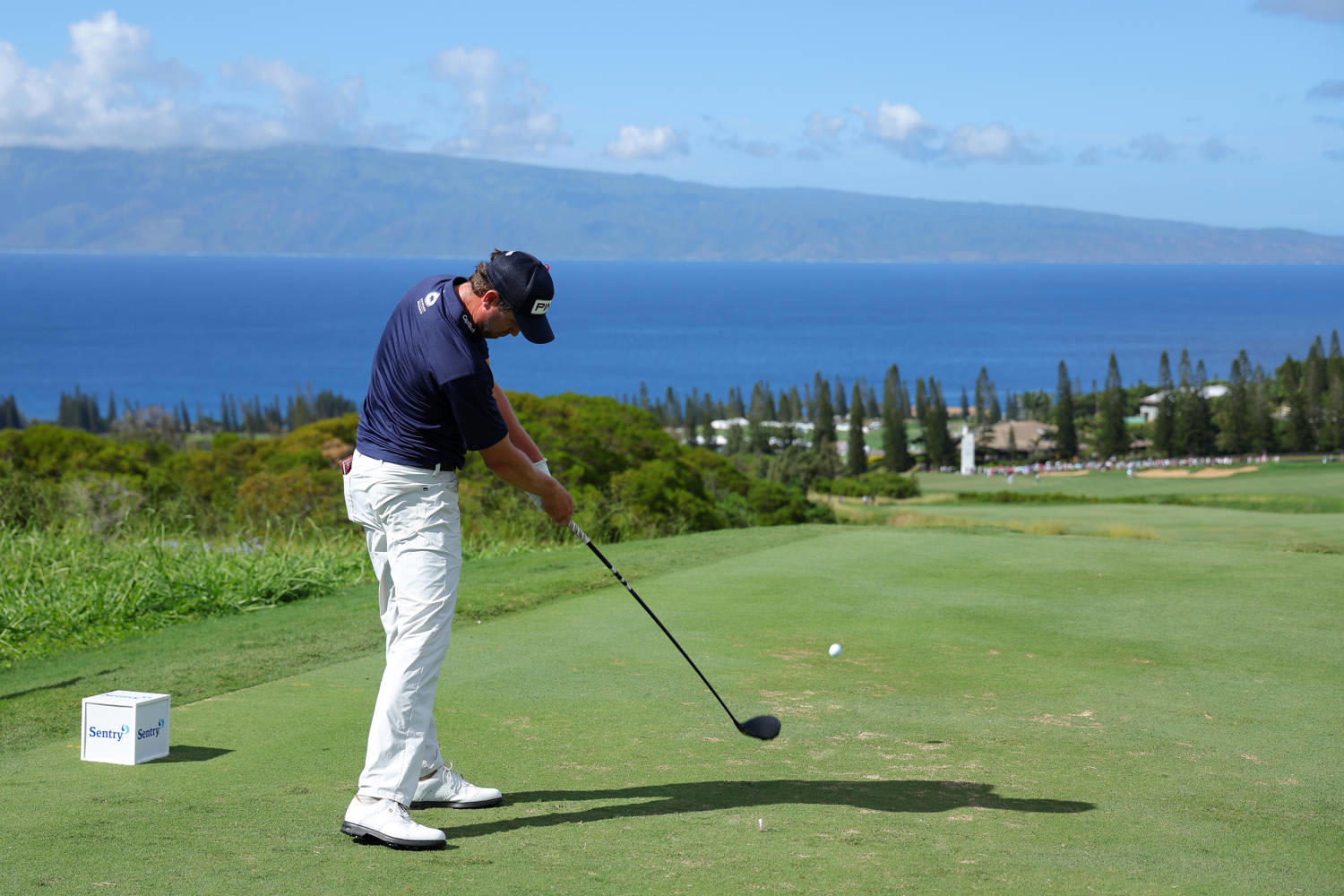 Harris English Betting Profile: Sony Open in Hawaii - PGA TOUR