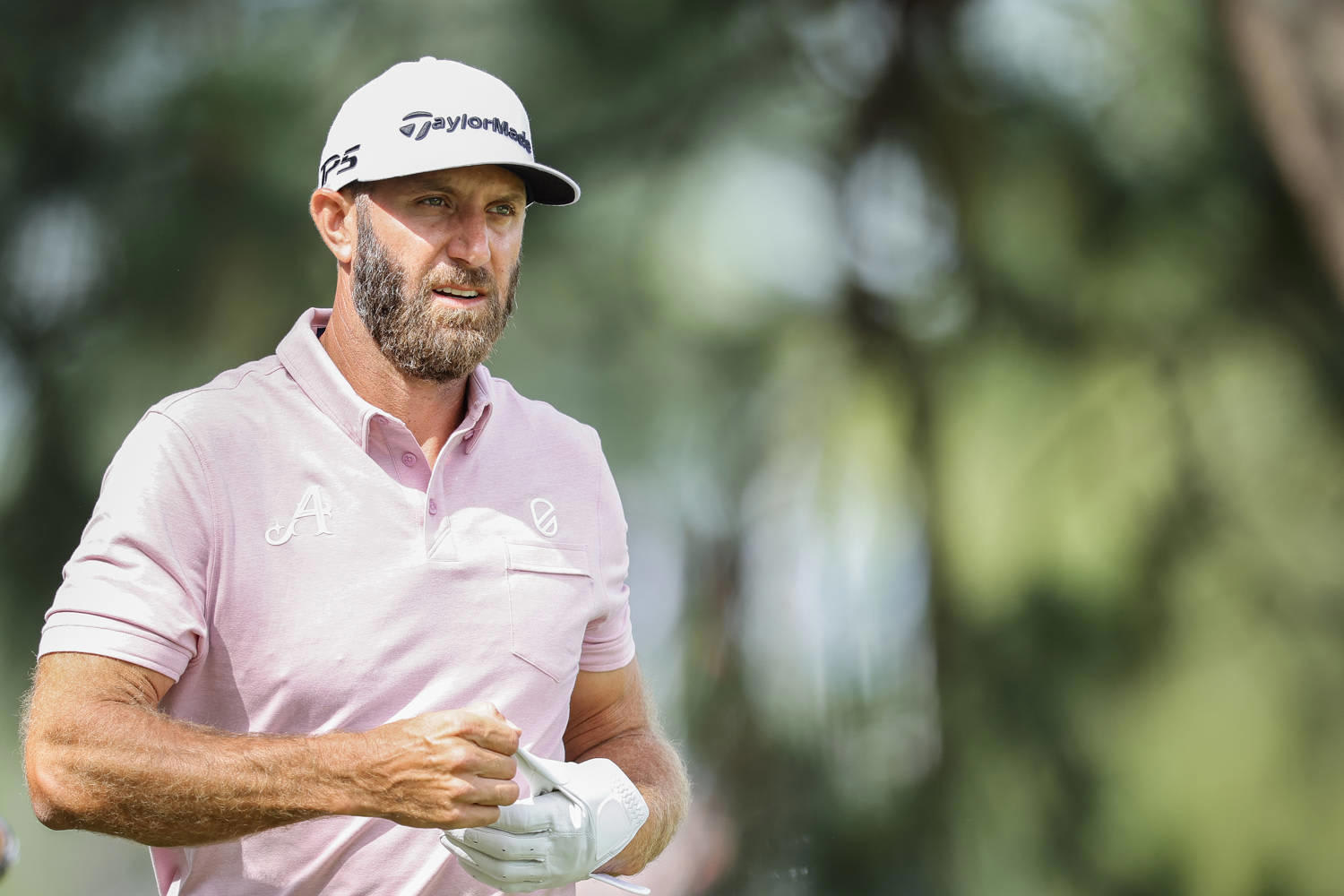 Dustin Johnson Guardian