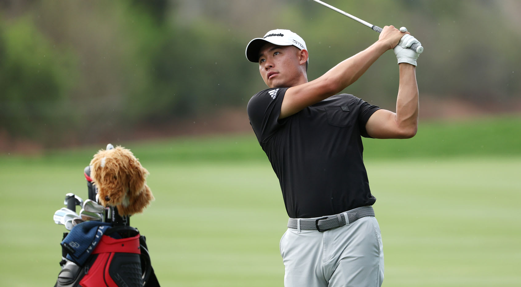 Collin Morikawa A Popular Play With PLAYERS Championship Betting PGA TOUR