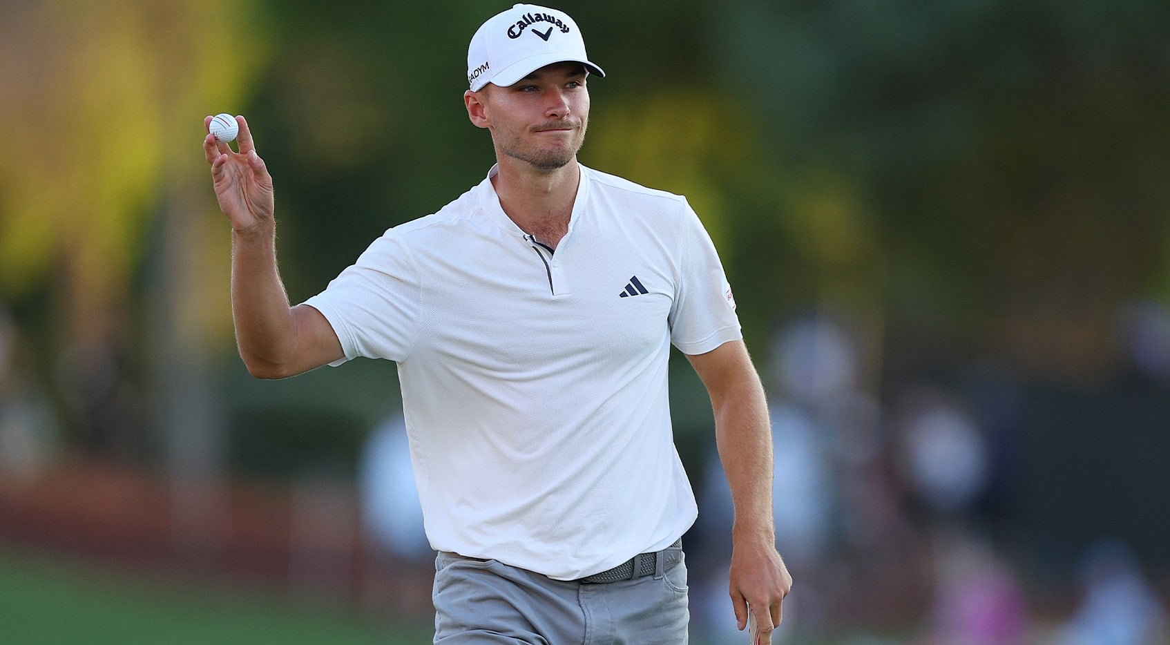 Nicolai Hojgaard leads by two at DP World Tour Championship as Rory ...