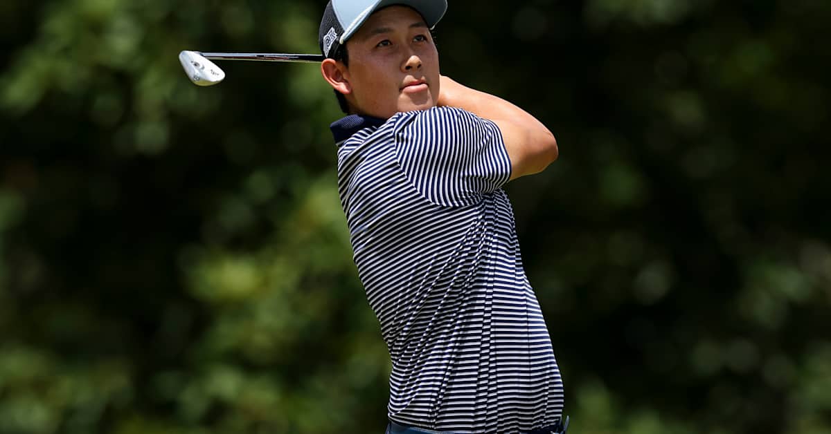 Dylan Wu betting profile: 3M Open - PGA TOUR